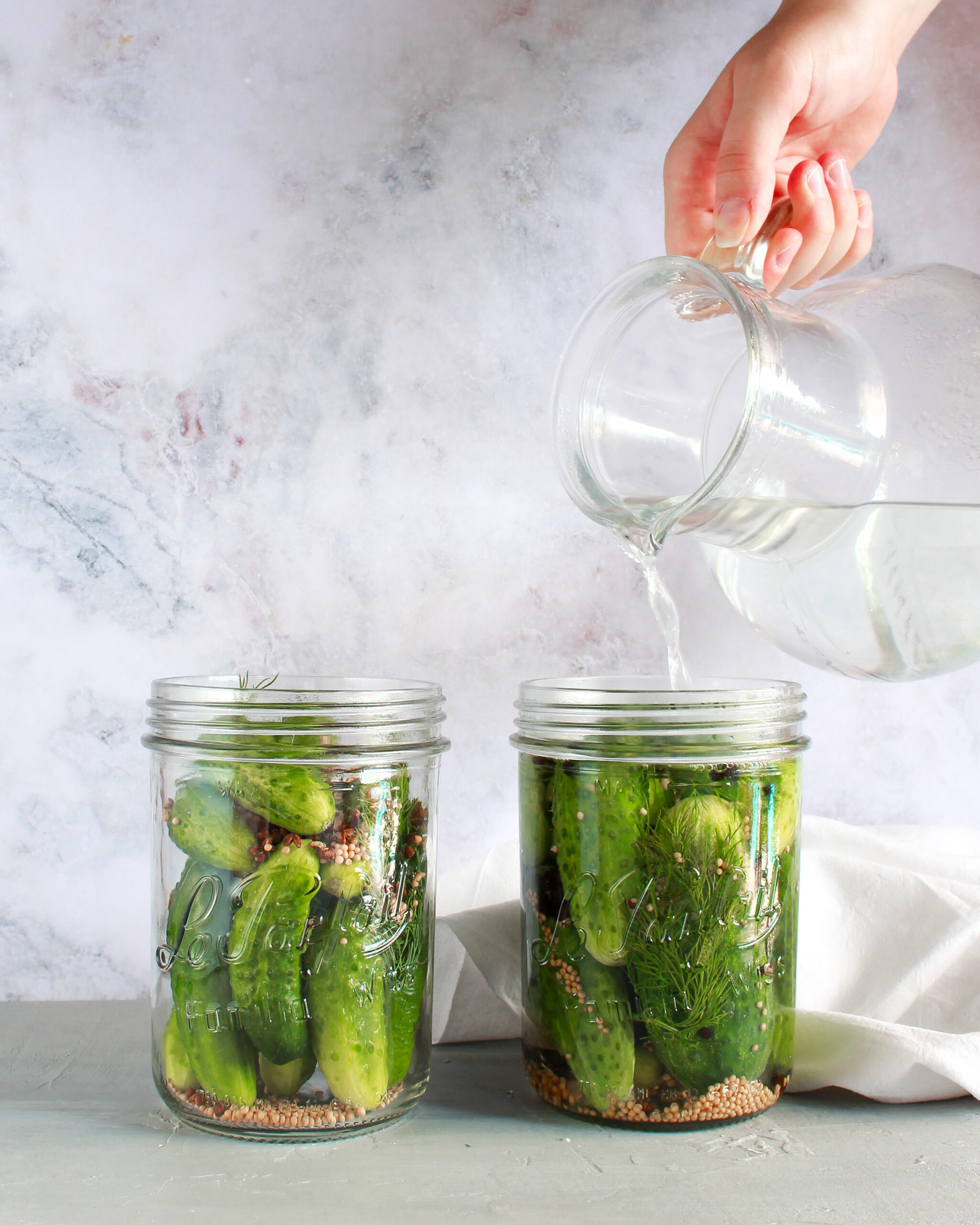 Homemade Dill Pickles - A Pinch of Ally